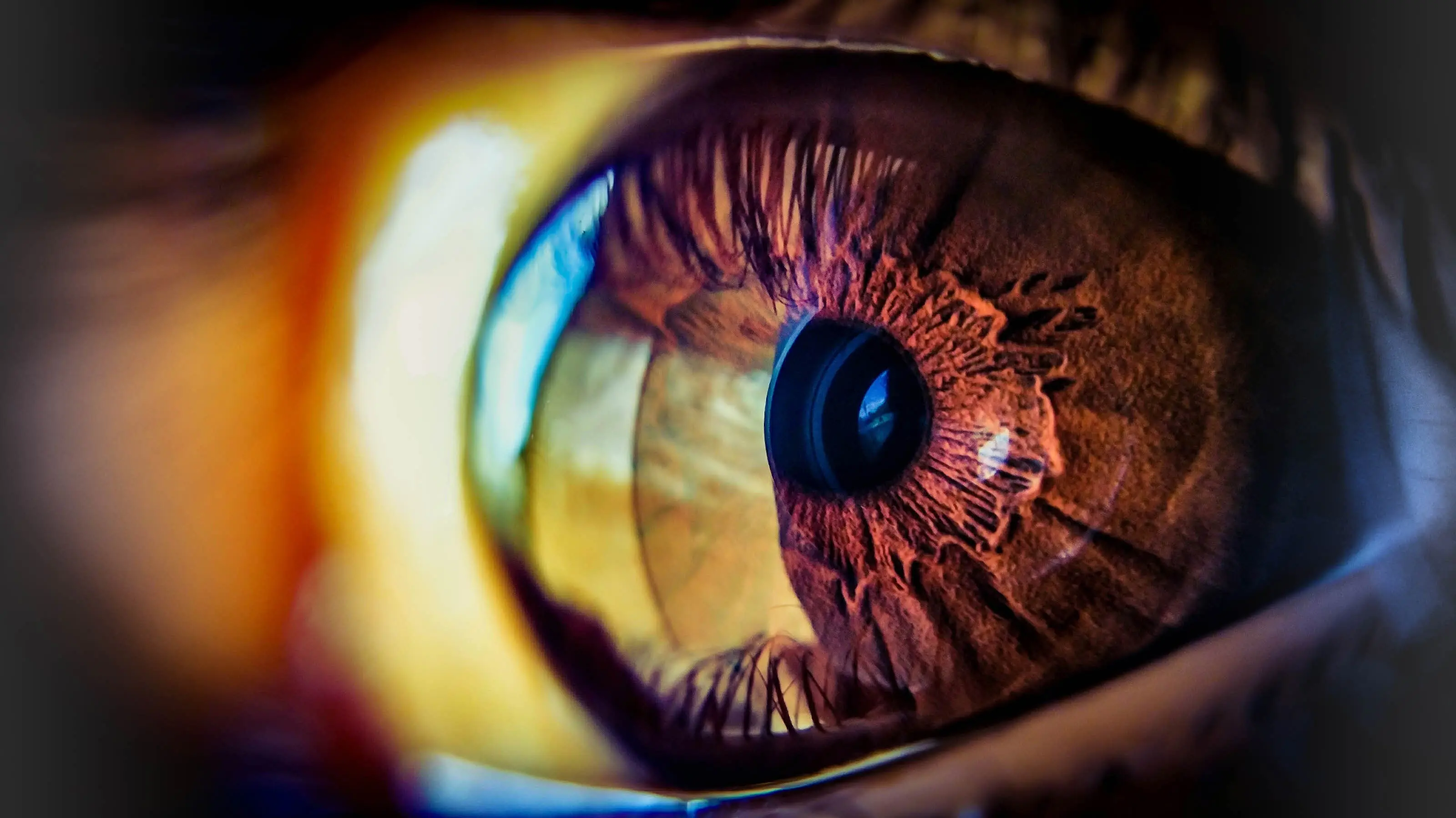 Contact us | Swiss Re