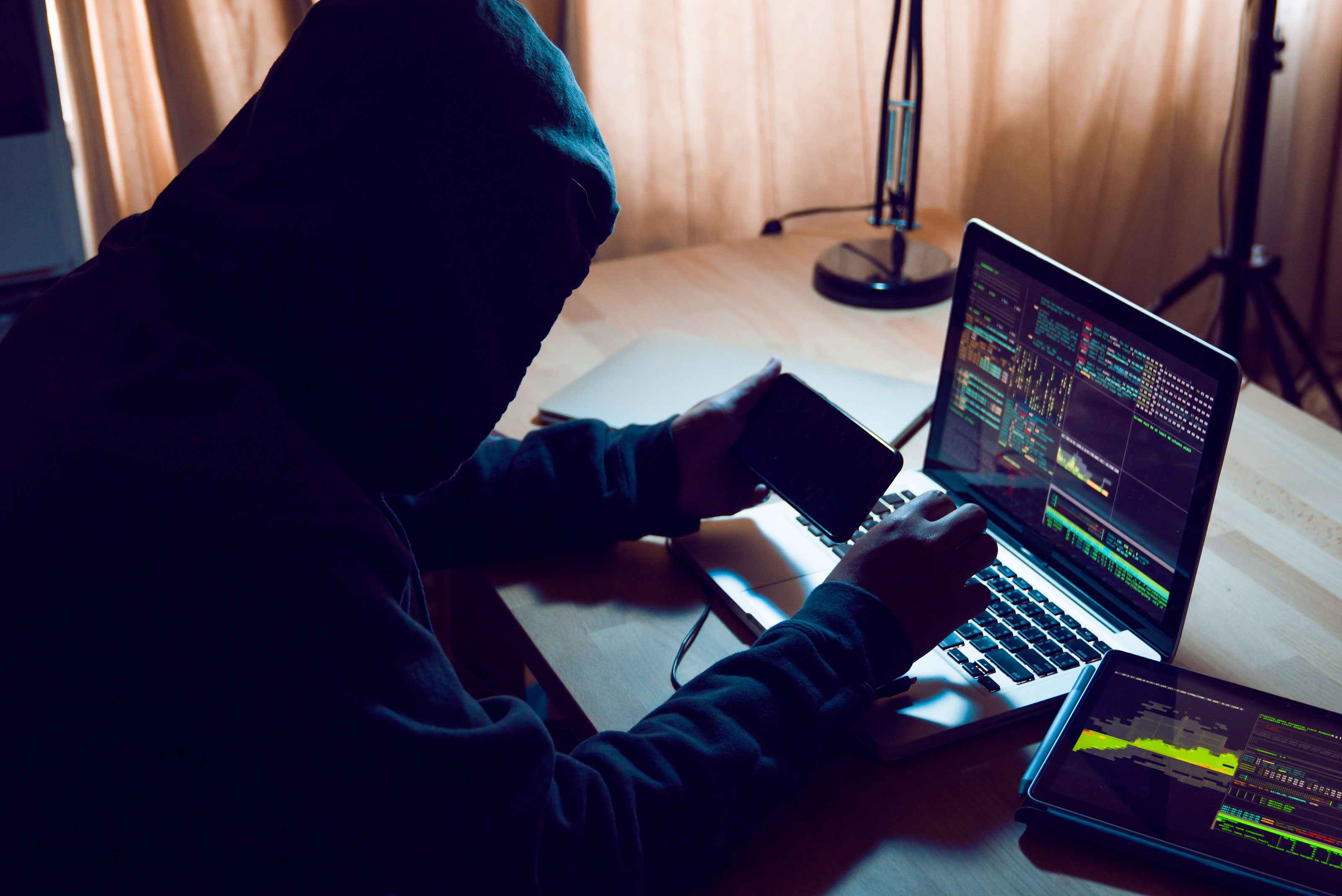 Cyber-enabled fraud – a new era for organised crime | Swiss Re