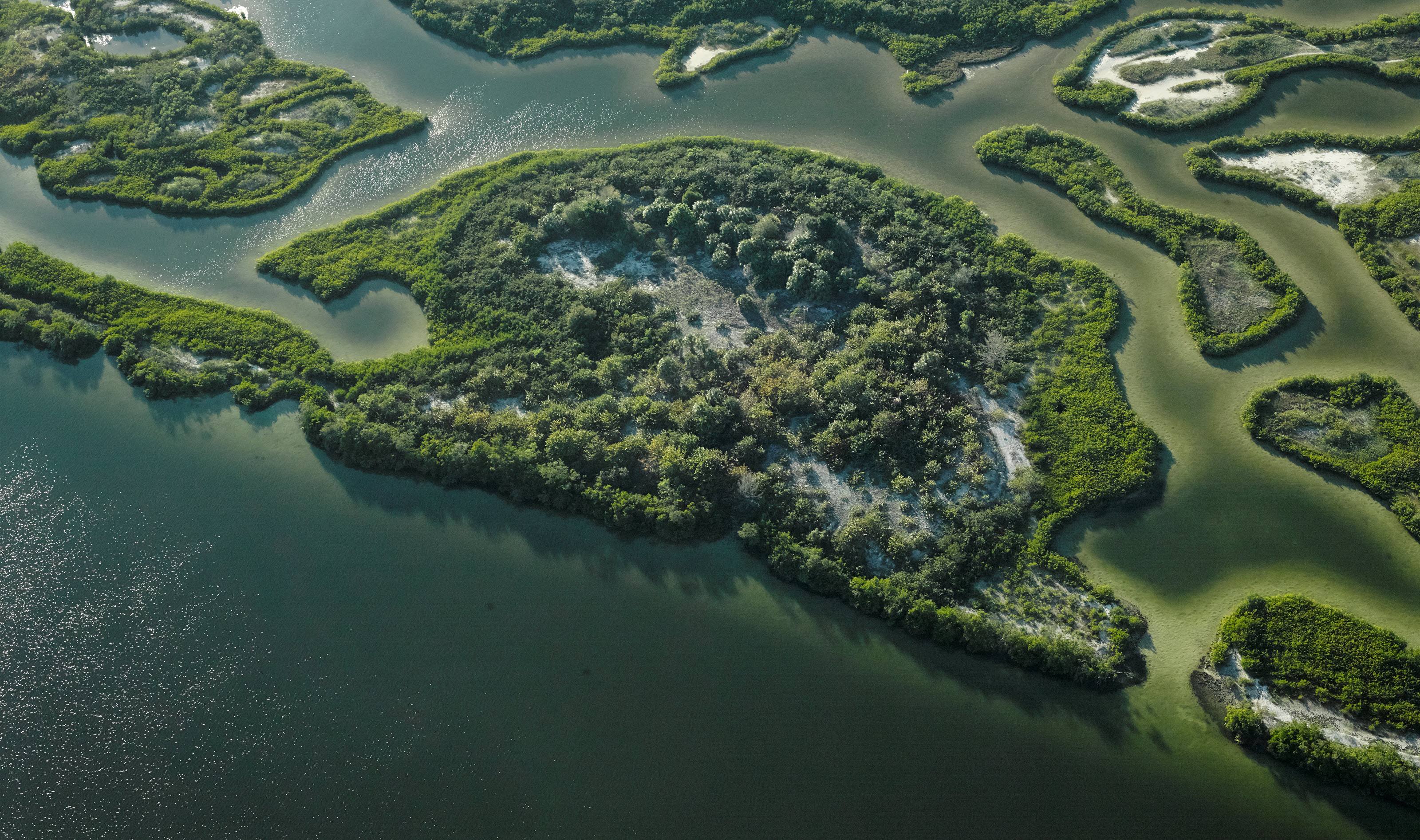 Natural habitats can reduce flood losses | Swiss Re