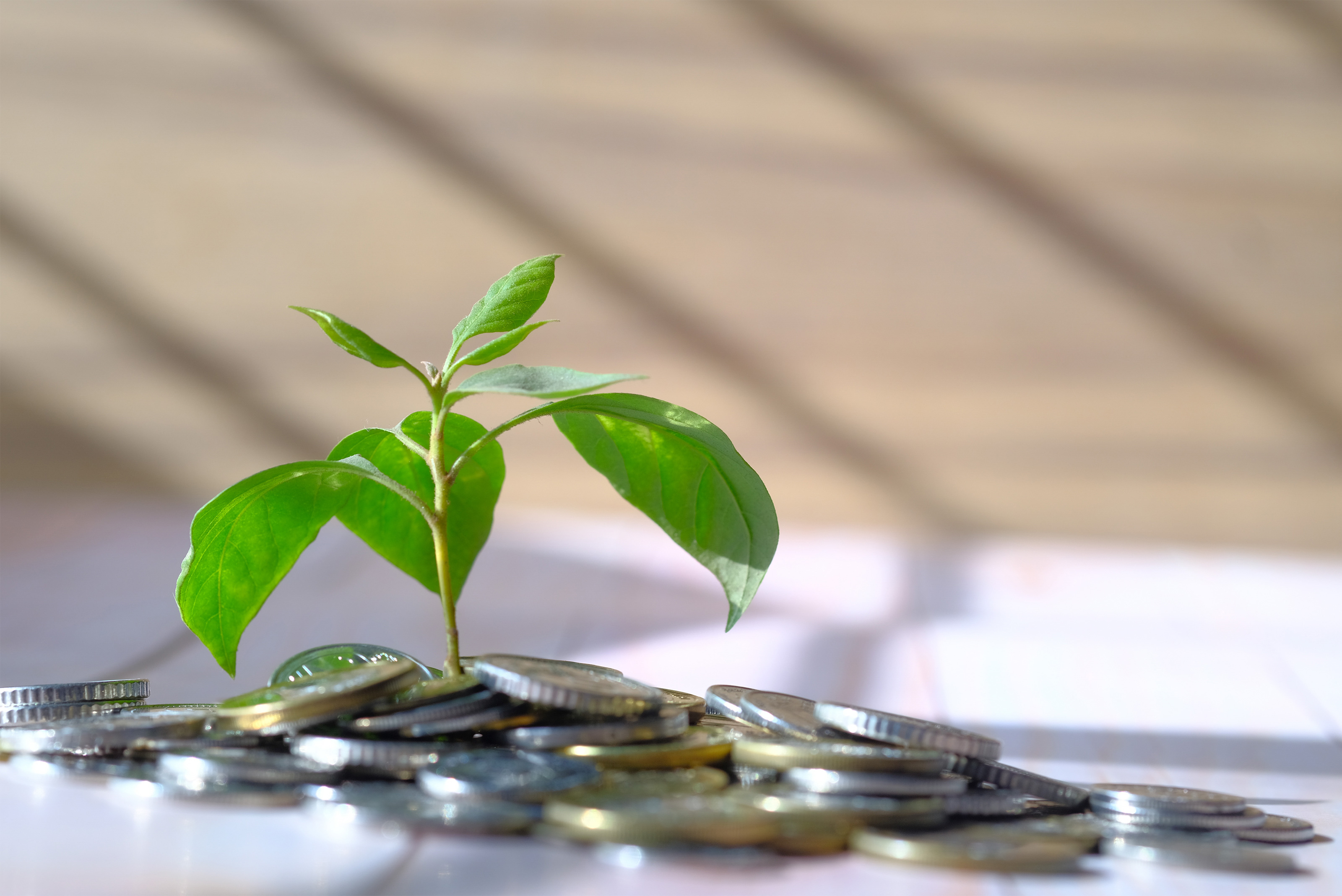 Why green is the new gold | Swiss Re