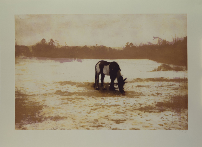 Series: Pinto by Peter Doig | Swiss Re Art