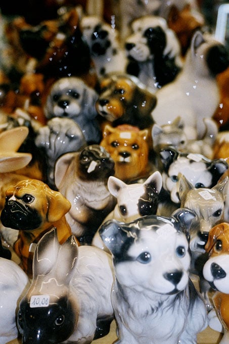 Untitled by Walter Pfeiffer | Swiss Re Art