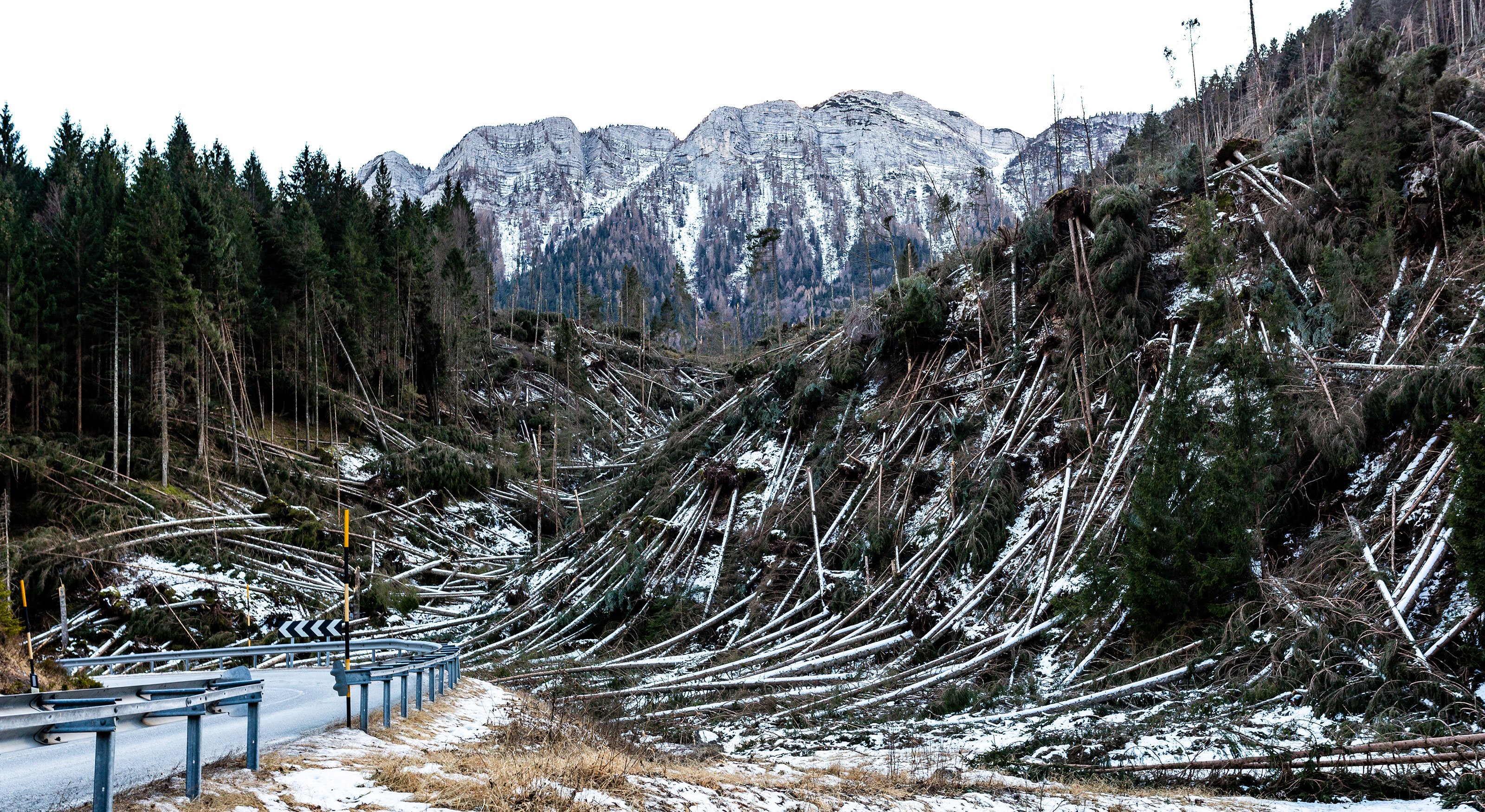 Lothar’s Big Brother: the storm of March 1876 | Swiss Re