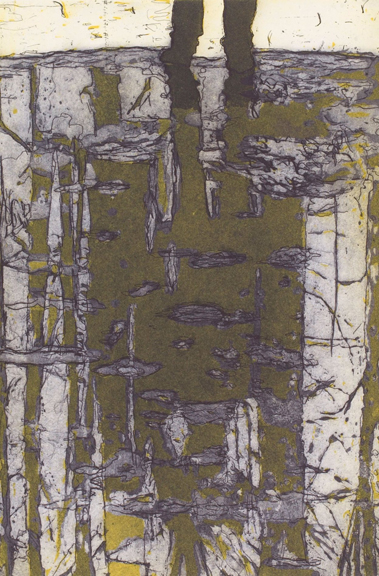 Series, Grasshopper: Reflection (What Does Soul Look Like?) by Peter ...