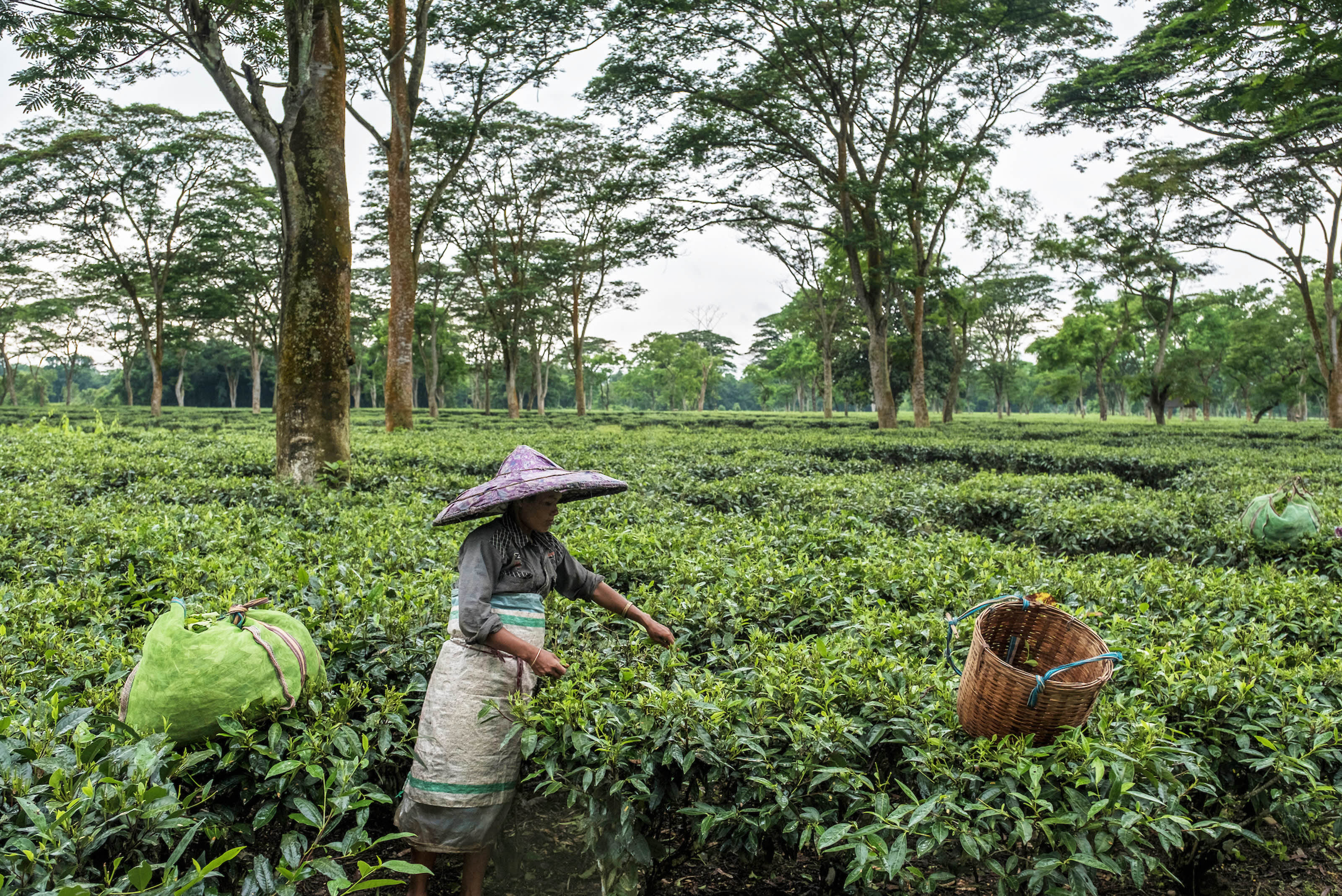 Swiss Re Foundation | Swiss Re