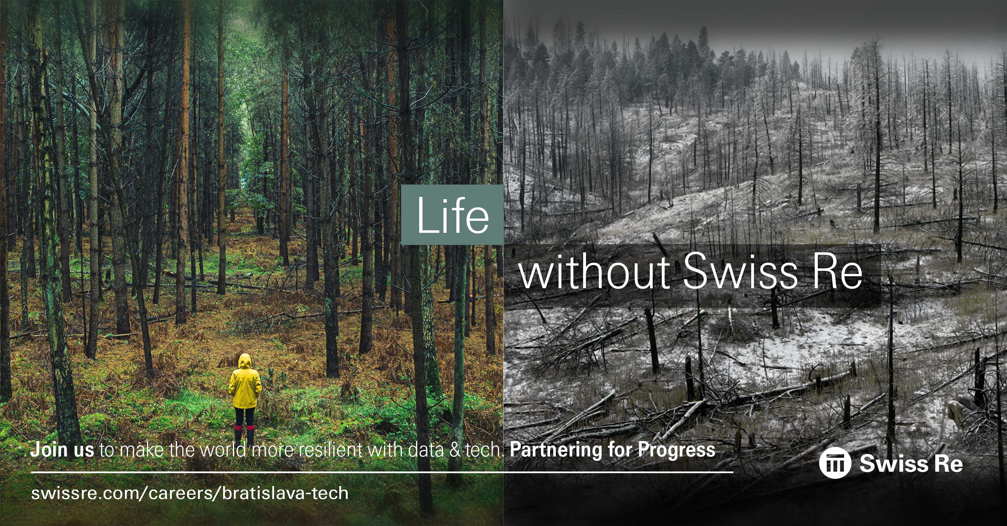 Make the world more resilient with data & tech in Bratislava | Swiss Re