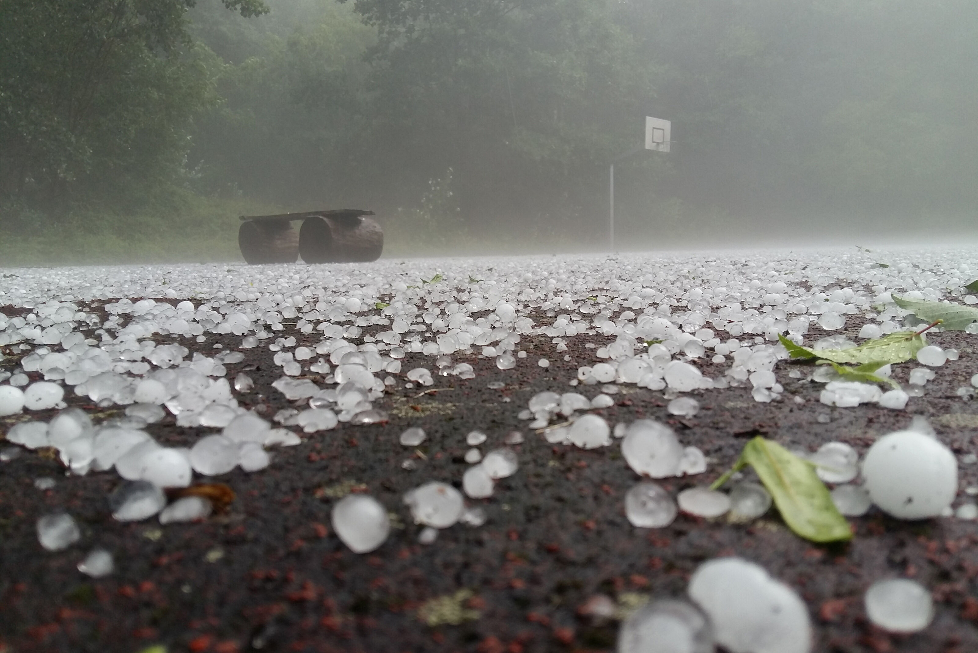 A new layer of protection against a complex, costly threat | Swiss Re