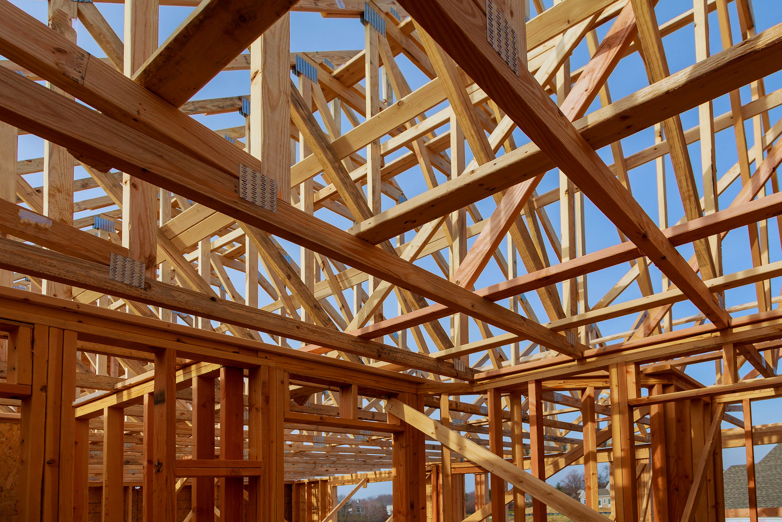 Knock on wood: Timber in modern construction | Swiss Re