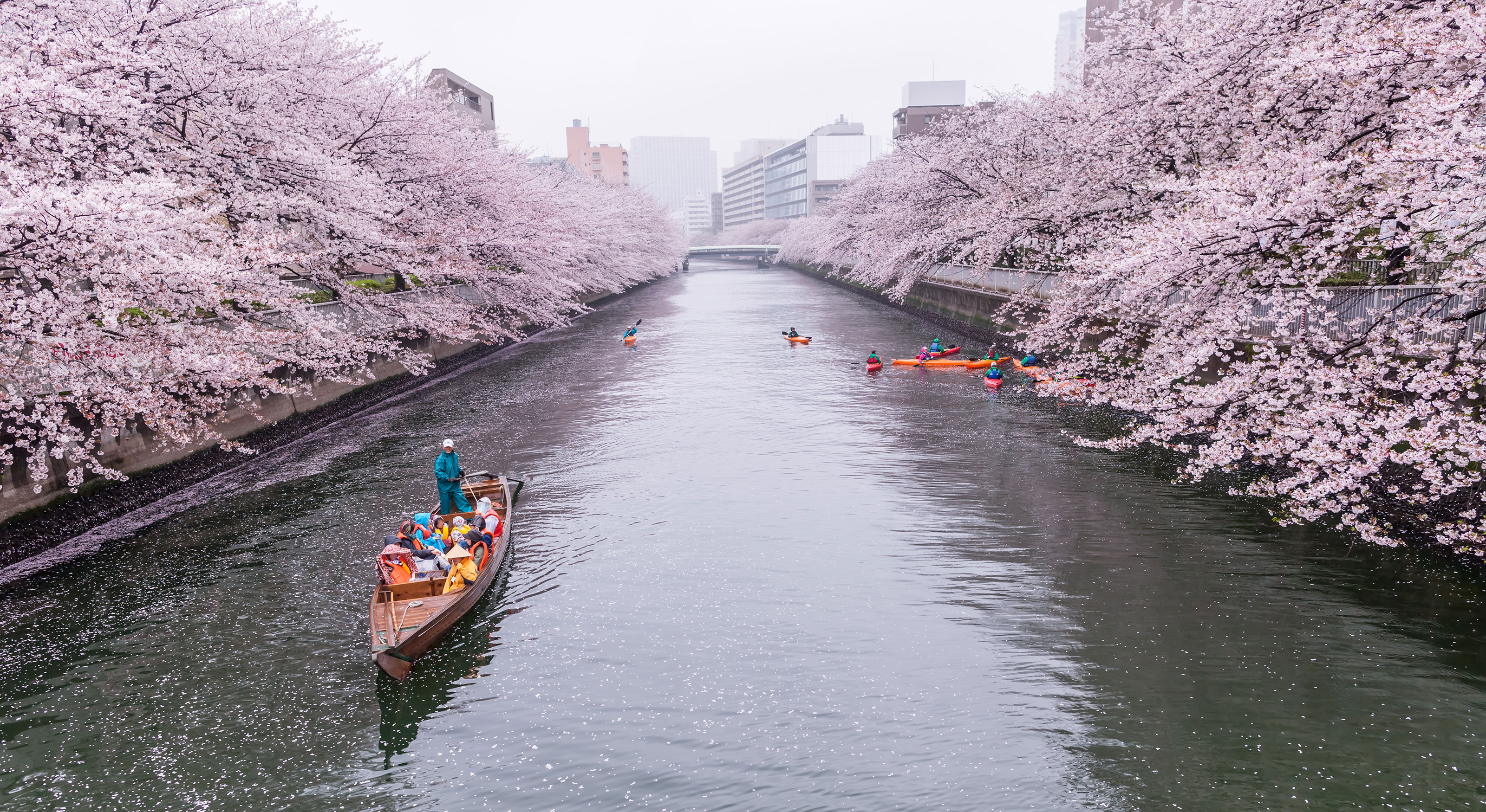 Swiss Re Japan | Swiss Re