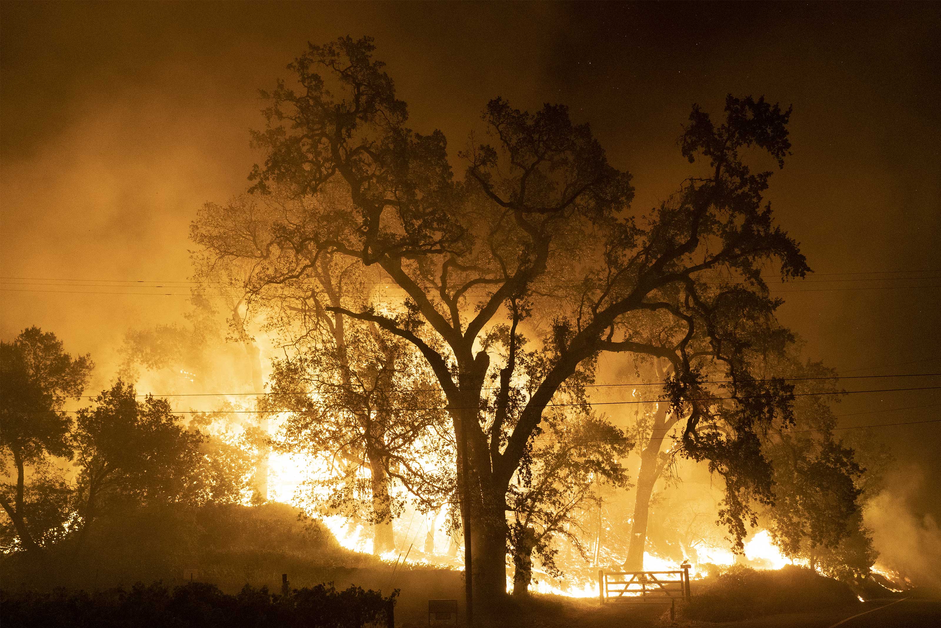 Wildfires: Natural catastrophes in focus | Swiss Re