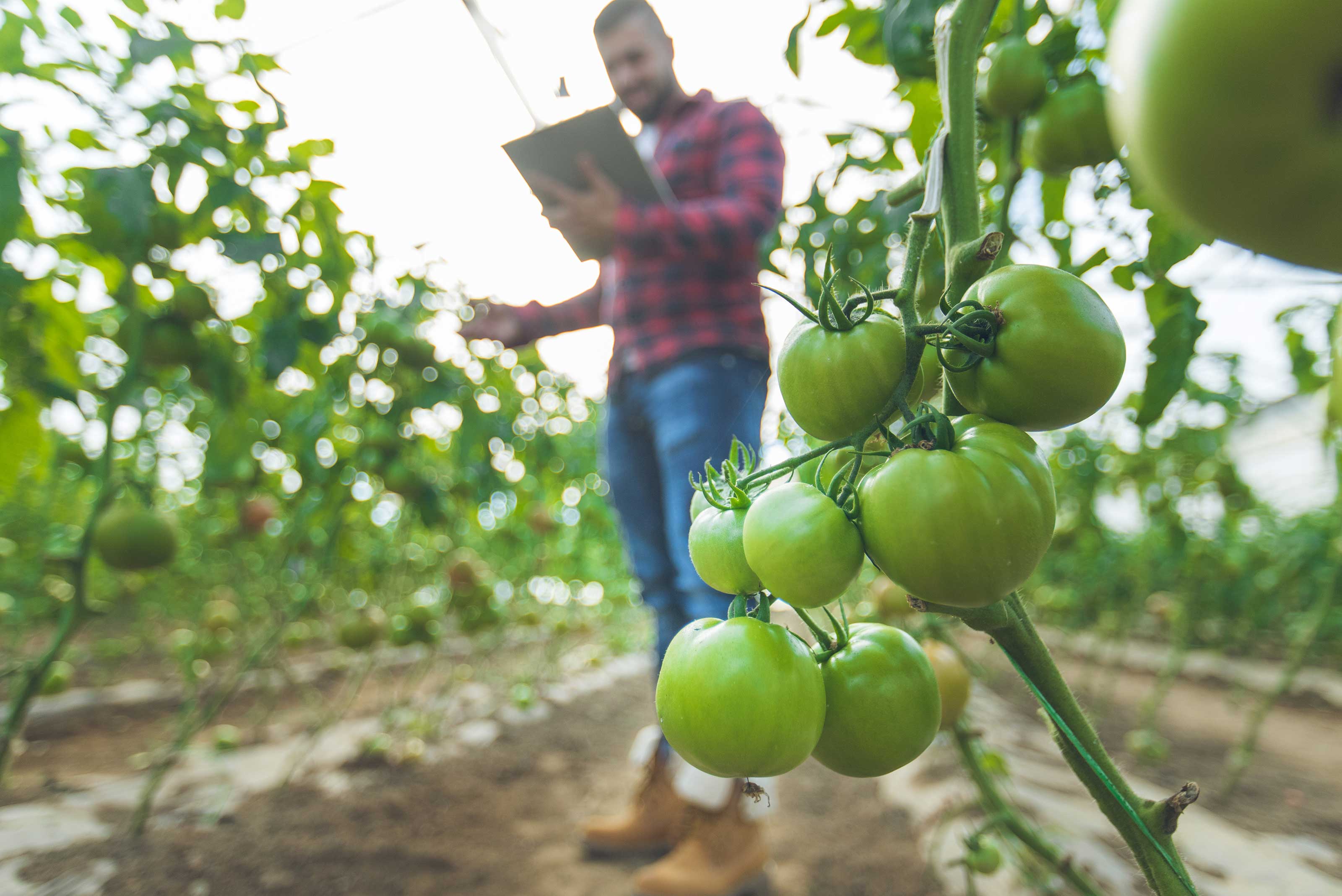 Fostering Insurance in Natural Perils: Accelerated by Climate Change ...