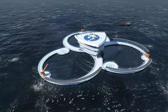 Offshore fish farming facilities and their challenges for marine ...