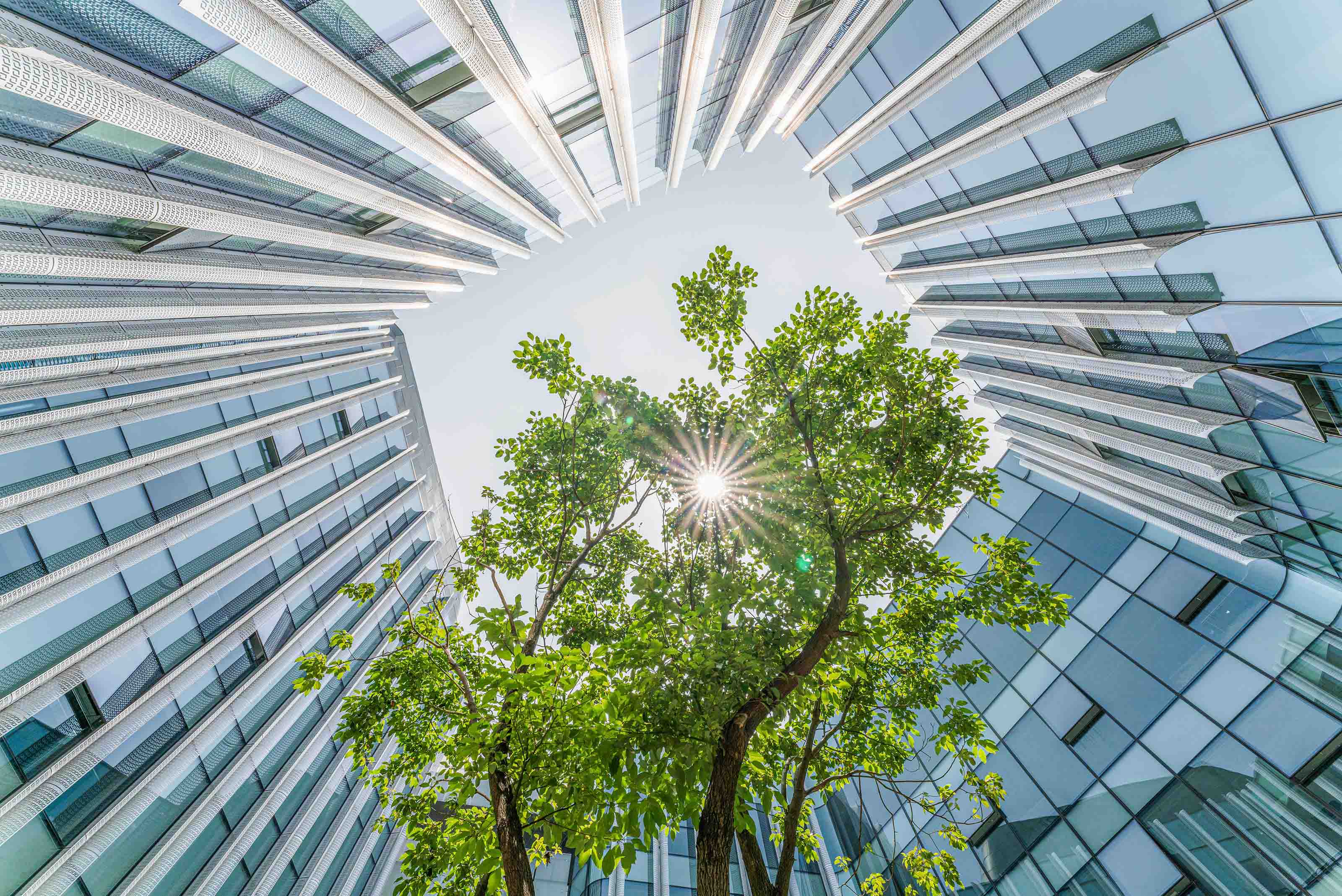 Launch of UN-convened Net-Zero Insurance Alliance - Swiss Re as a ...