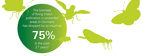 Making a beeline for disaster? | Swiss Re